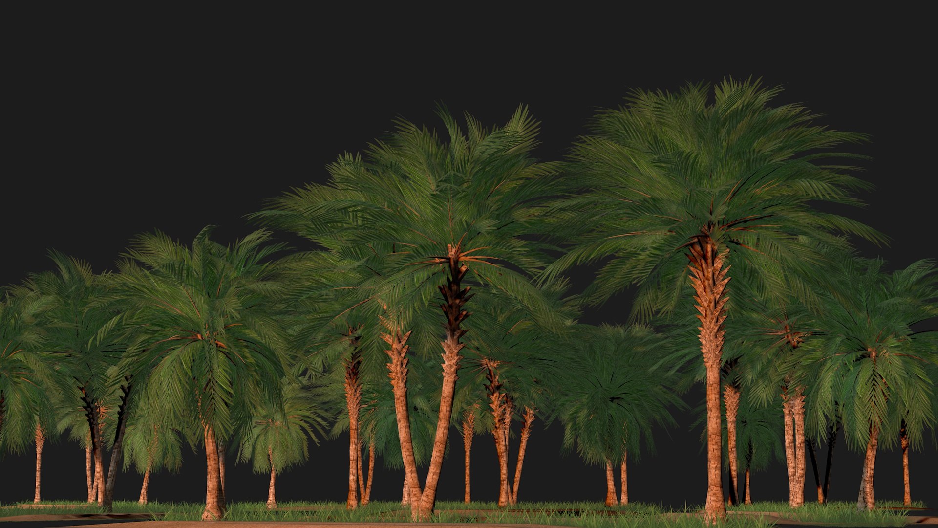 Three palms set model - TurboSquid 1775627