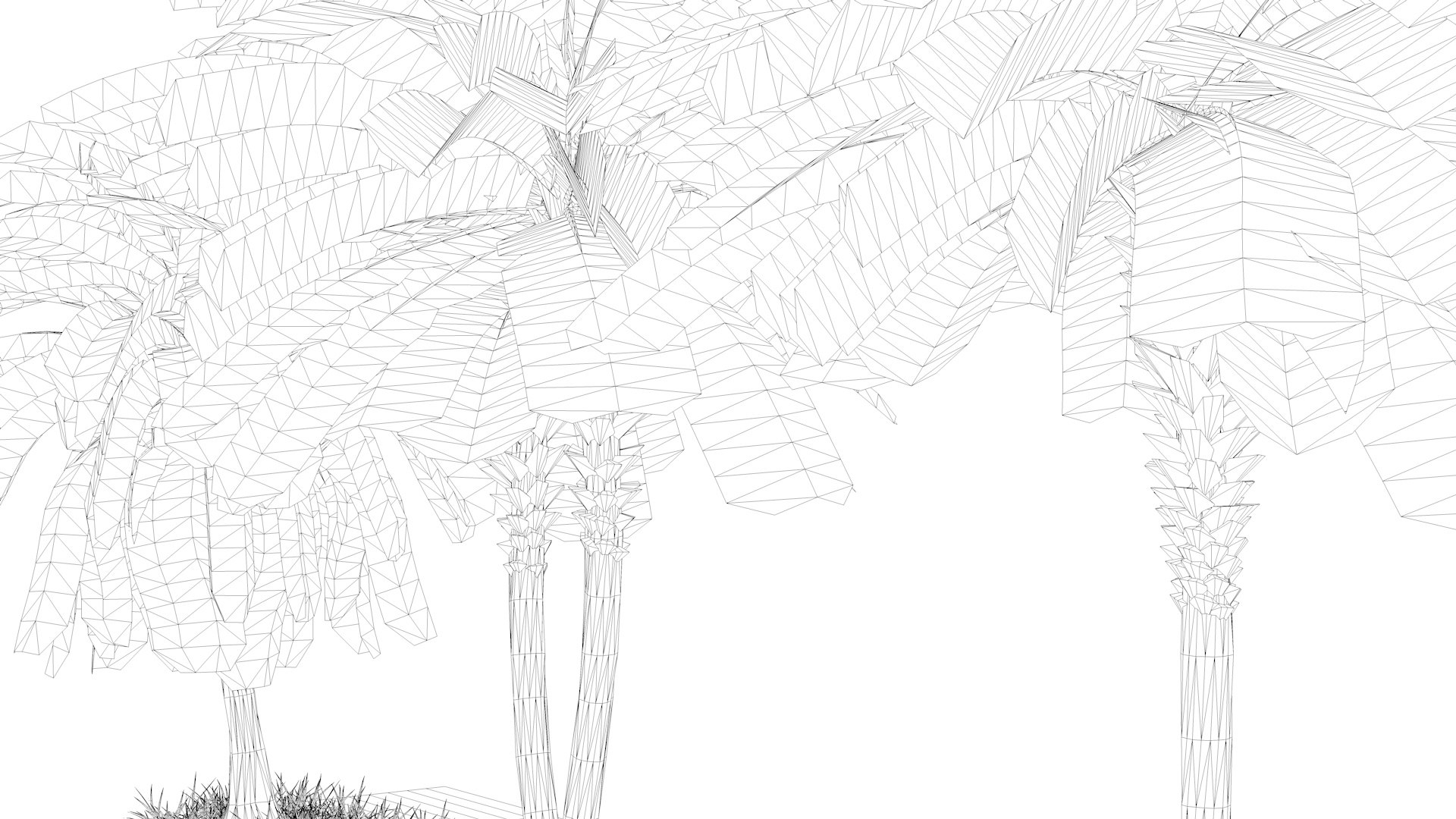 Three palms set model - TurboSquid 1775627