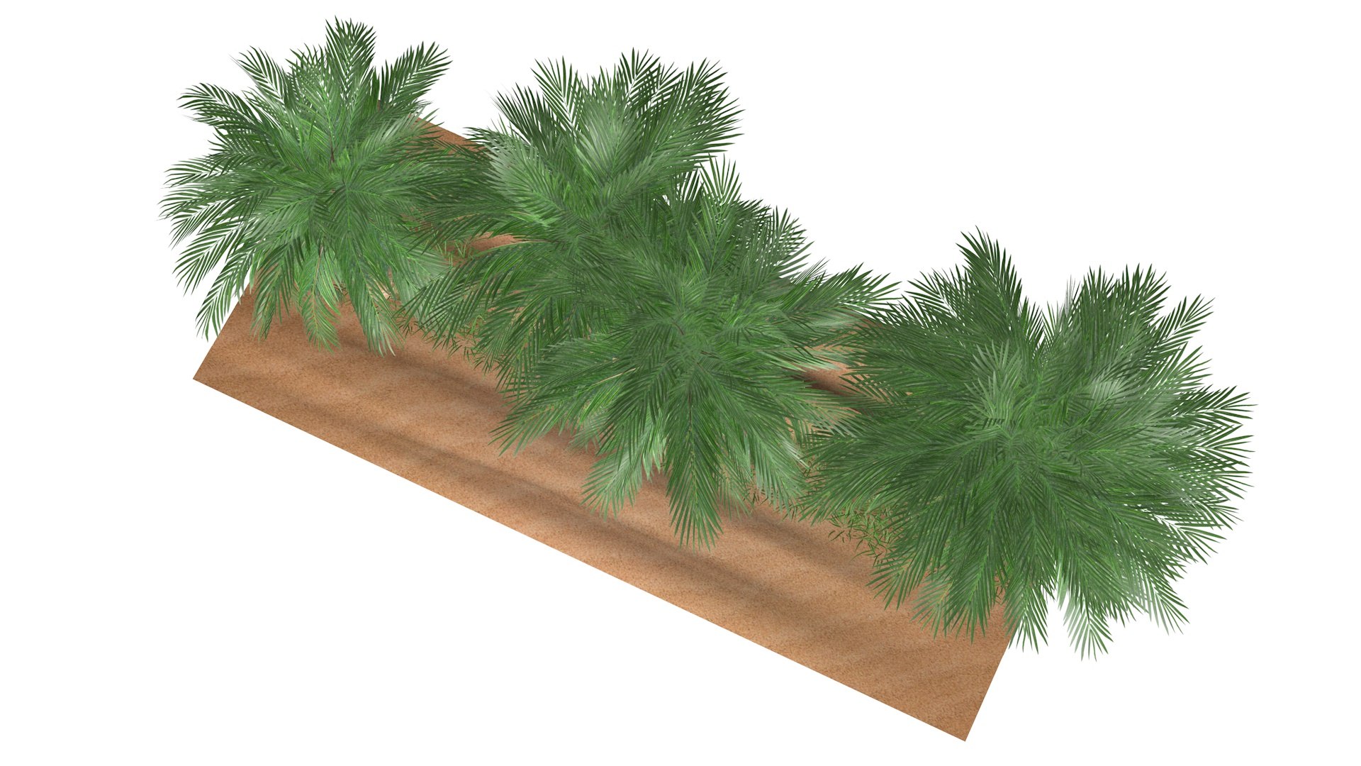 Three palms set model - TurboSquid 1775627