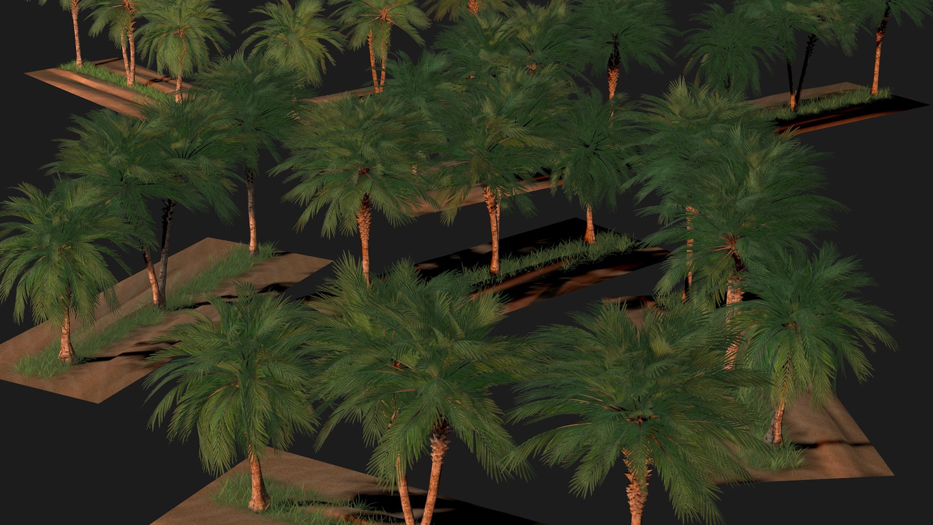 Three palms set model - TurboSquid 1775627
