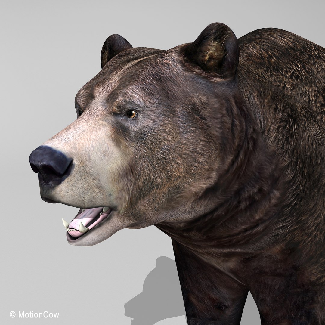 Realistic Brown 3d Model