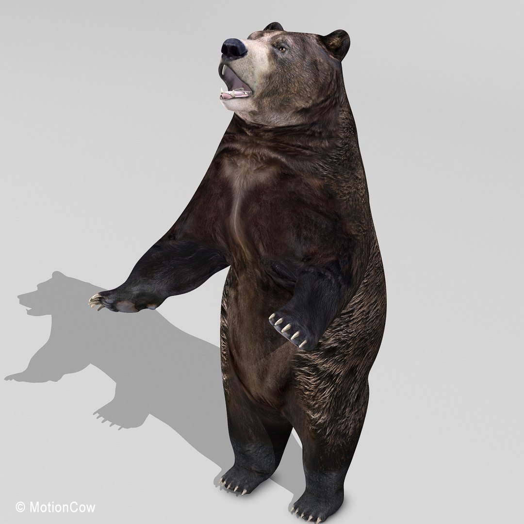 Realistic Brown 3d Model