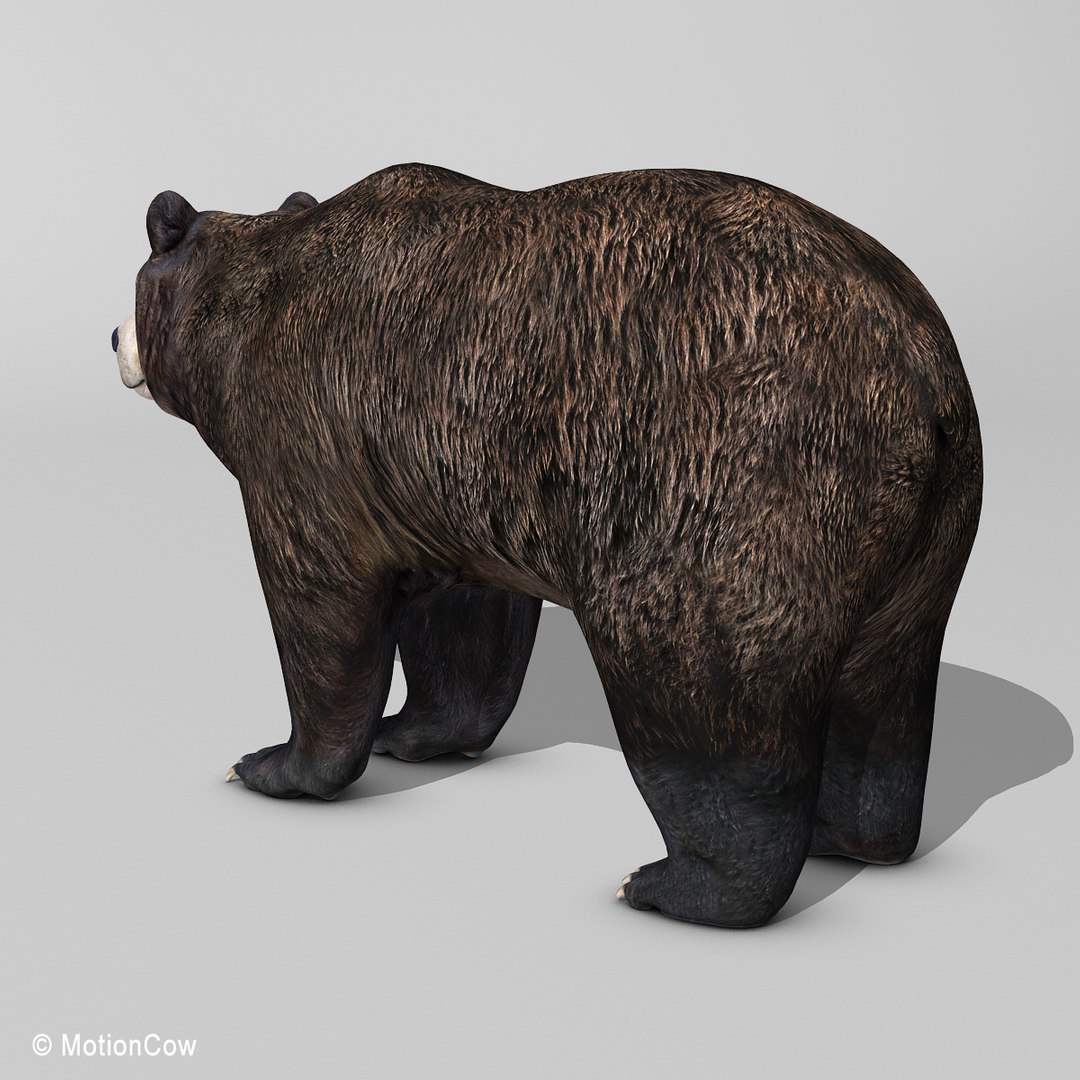 Realistic Brown 3d Model
