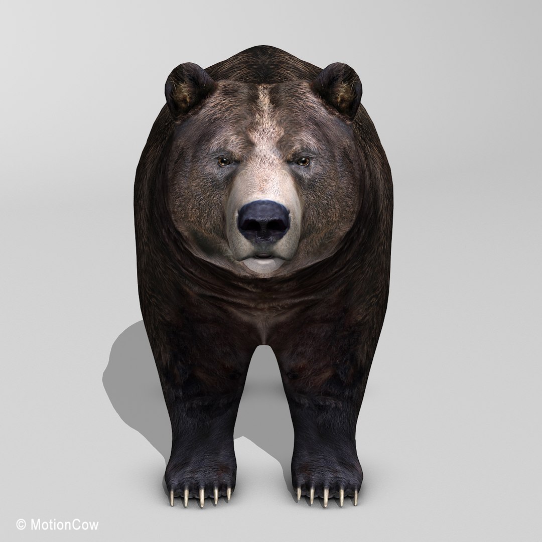 Realistic Brown 3d Model