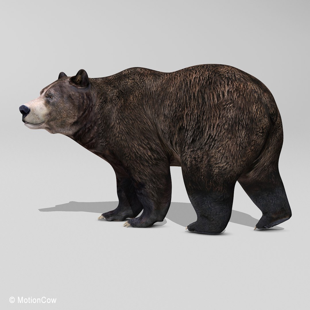 Realistic Brown 3d Model