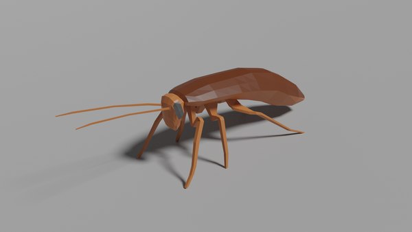 Cockroach 3D Models for Download | TurboSquid