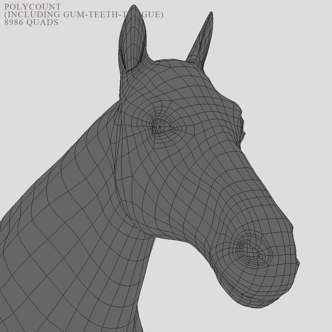 maya realistic horse animation