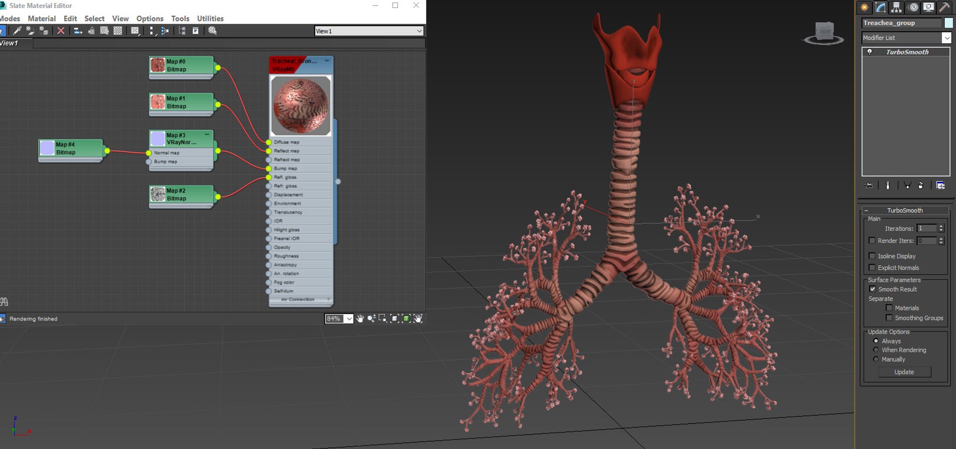 3D lungs bronchial tree bronchus - TurboSquid 1663609