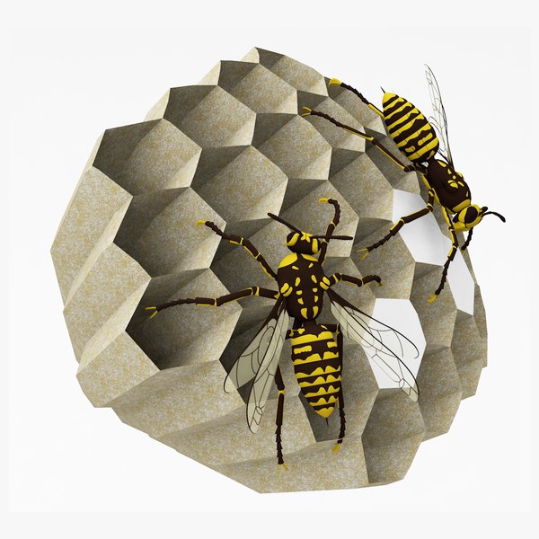 modelo 3d Wasp Nest - TurboSquid 2037665