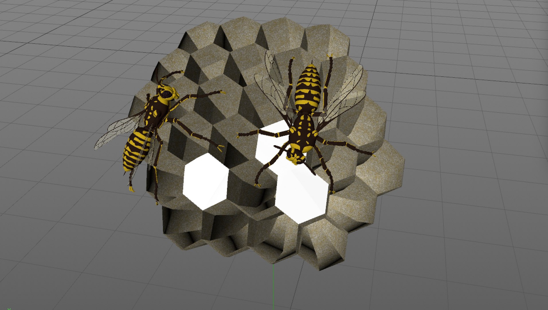Wasp Nest 3D model - TurboSquid 2037665
