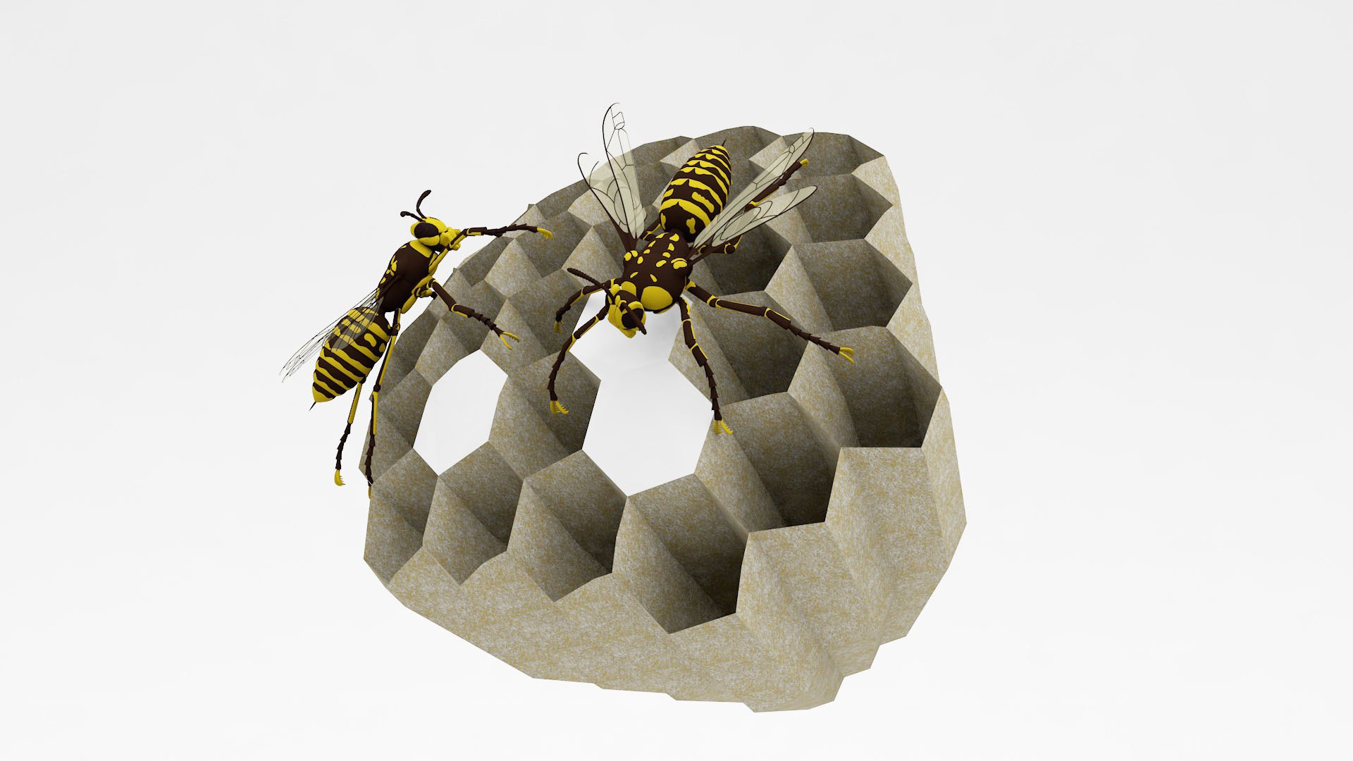 Wasp Nest 3D model - TurboSquid 2037665