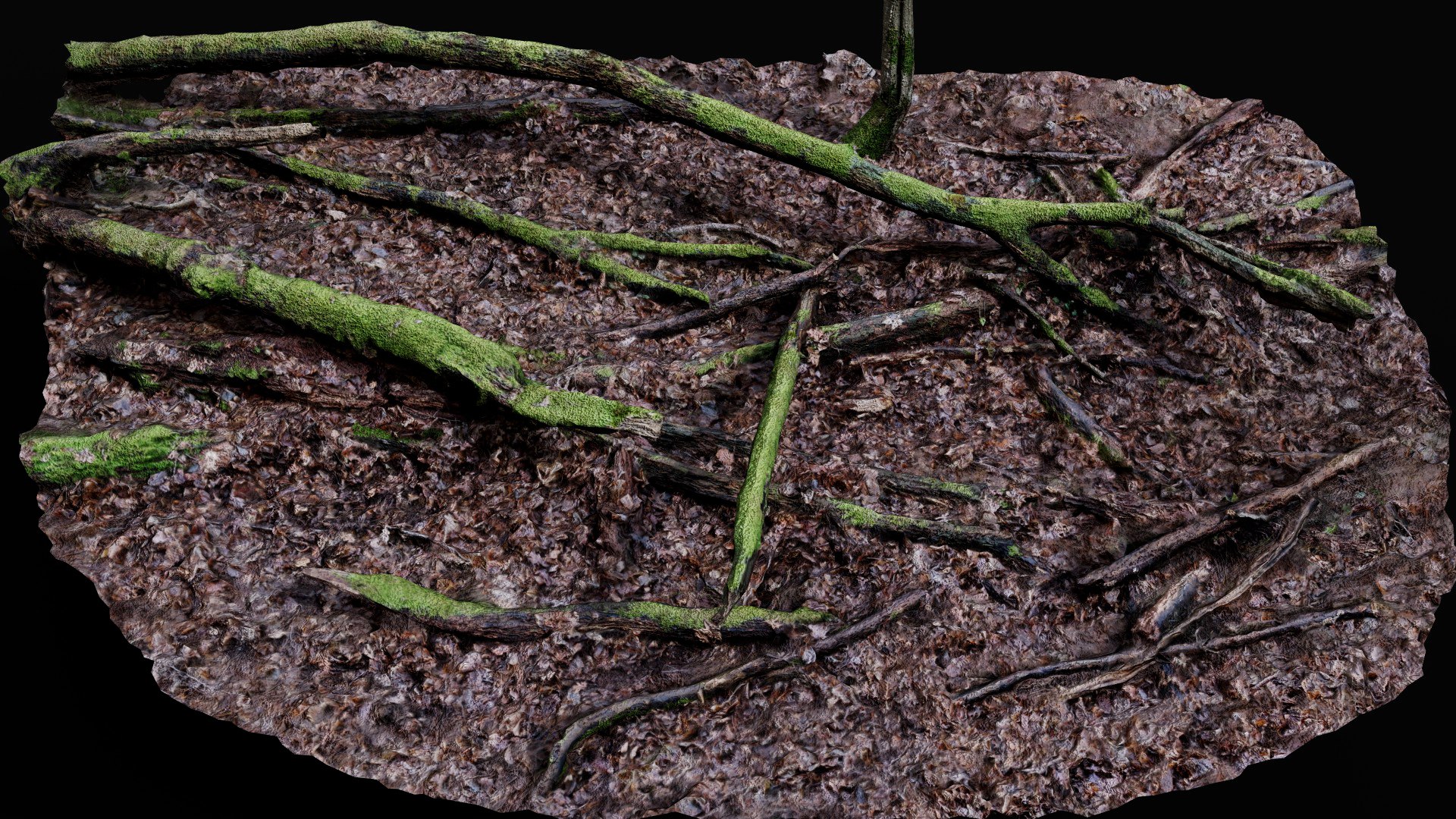 Forest Ground Tree Mossy Branches Debris Pt6 Photogrammetry 3D Model ...