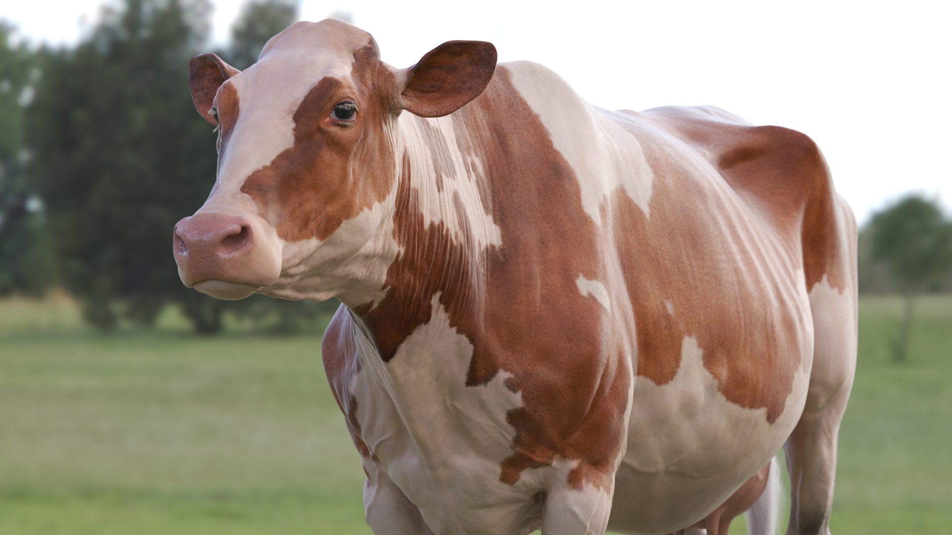 3D Dairy Cow - TurboSquid 1677251