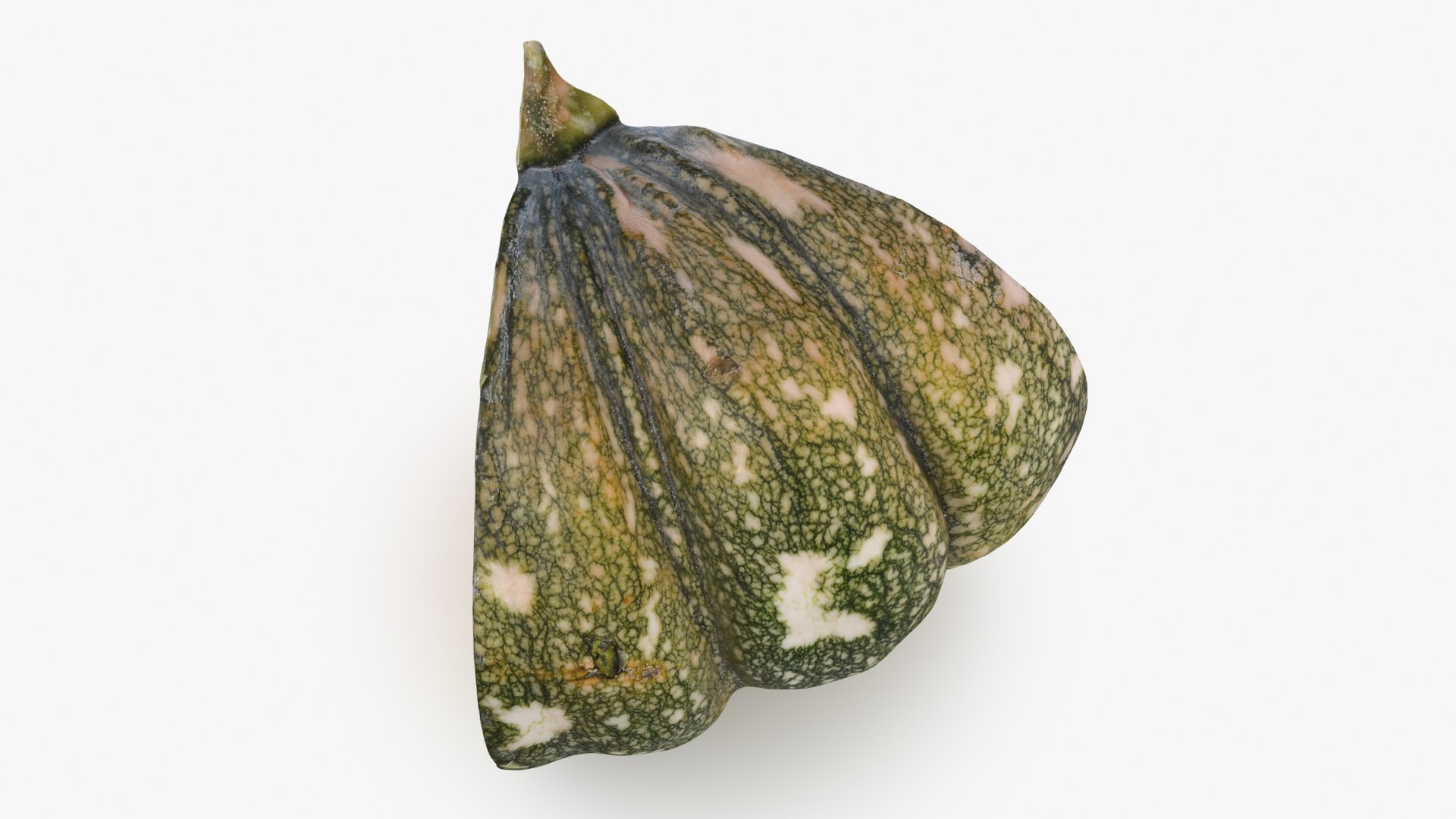 Asian Pumpkin Slice 3D Model - TurboSquid 2230425