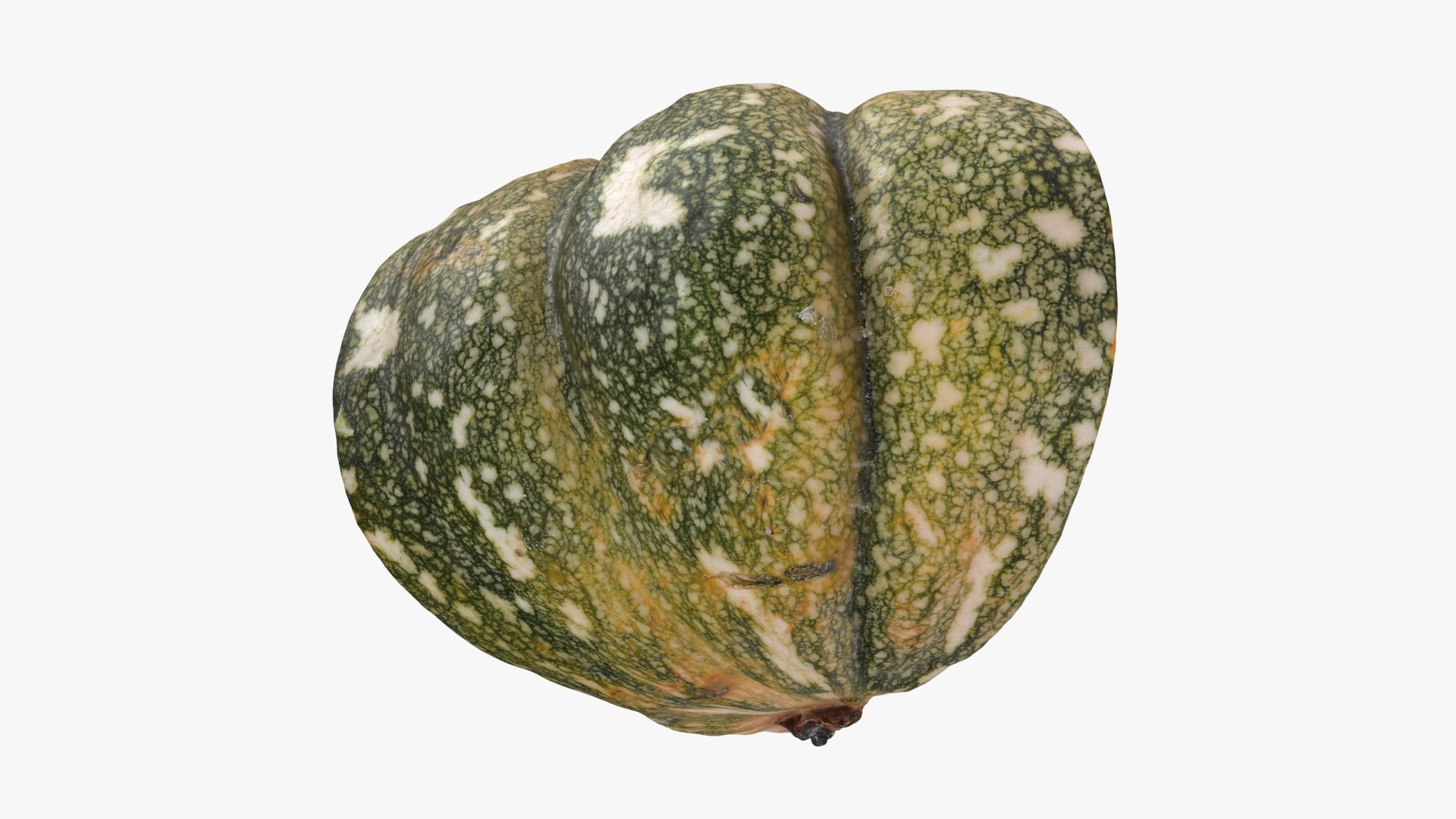 Asian Pumpkin Slice 3D Model - TurboSquid 2230425