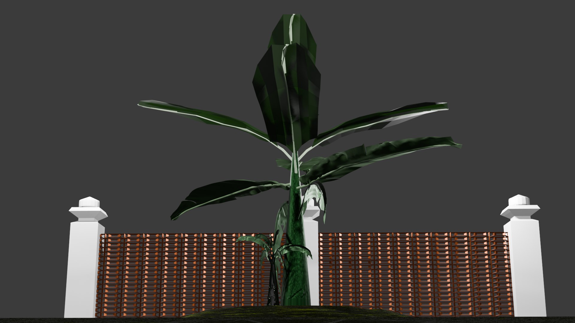 3D Banana Tree Model - TurboSquid 2286310