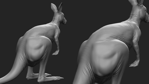 modelo 3d canguro hembra - TurboSquid 2239466