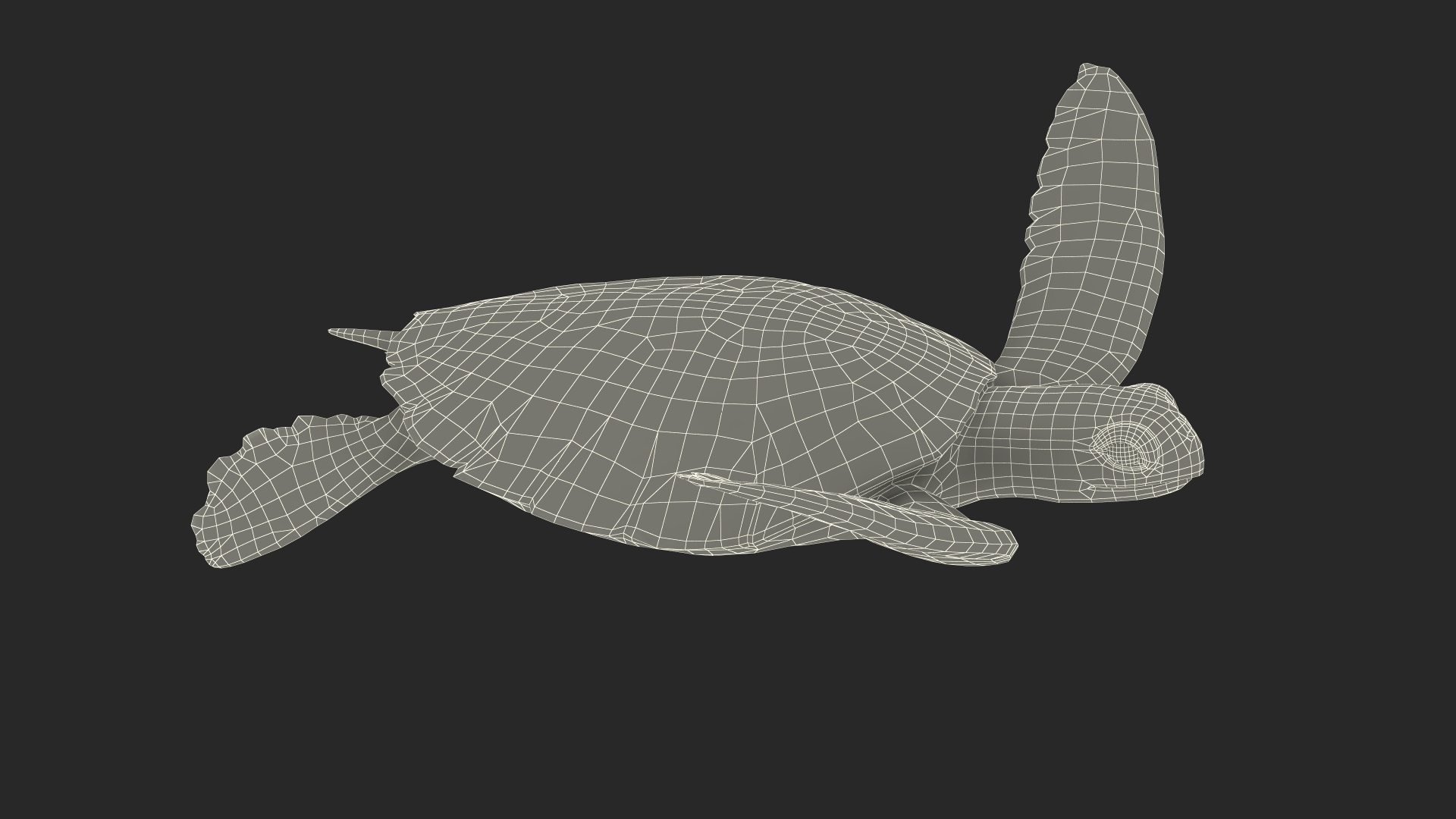 Realistic Sea Turtle 3D - TurboSquid 2191677