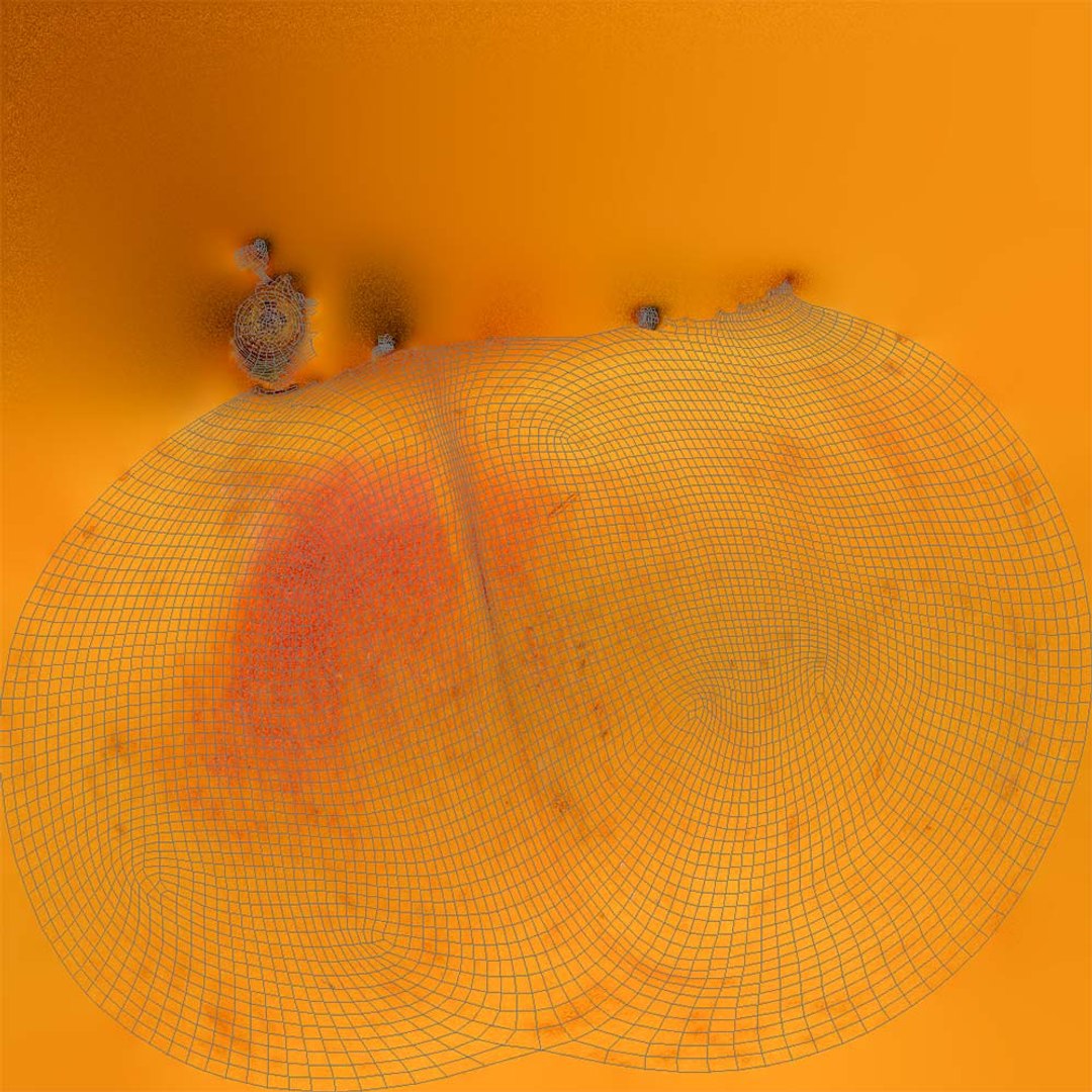 Apricot Model - TurboSquid 1412184