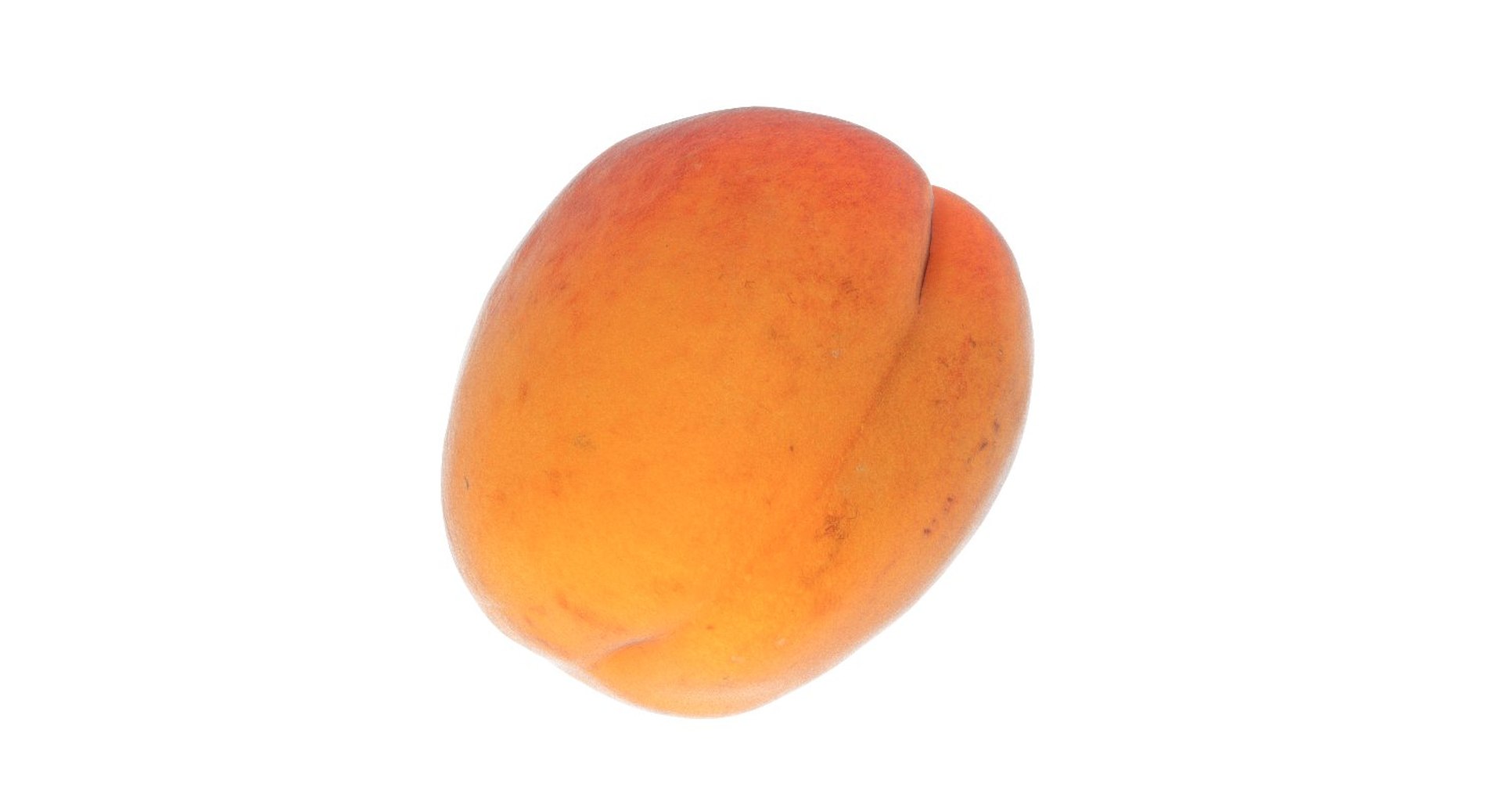 Apricot Model - TurboSquid 1412184