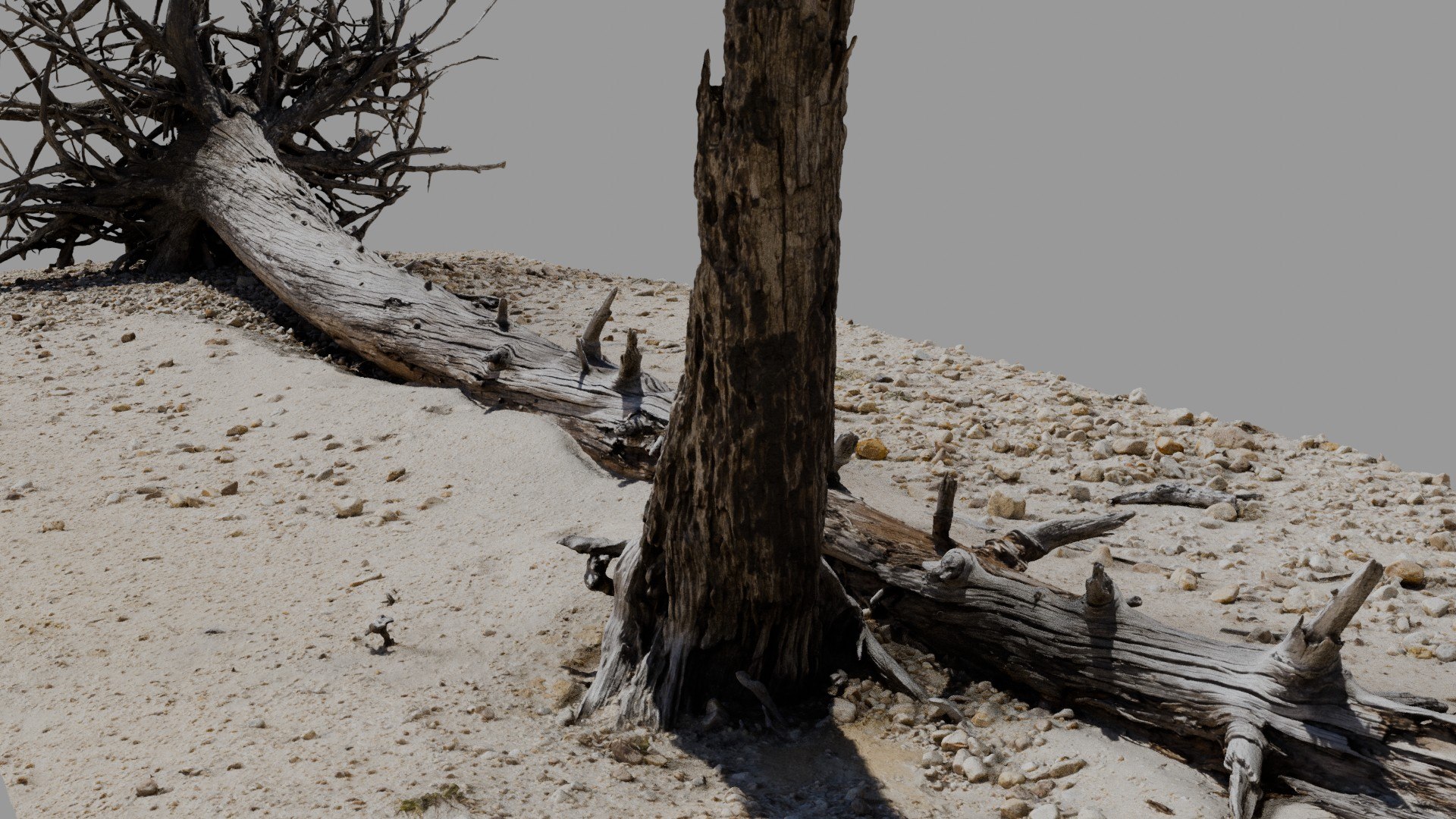 3D Dead Tree 009 Model - TurboSquid 2370873