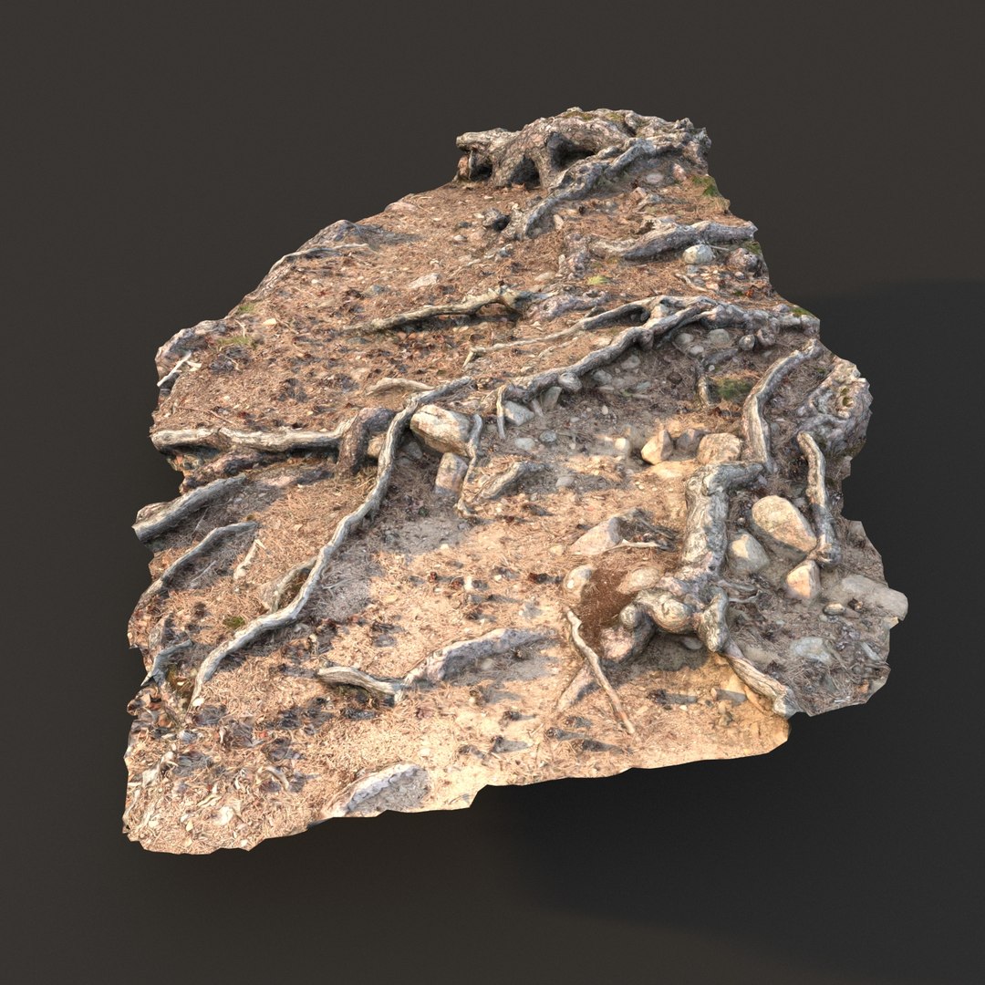 3D Nature Ground Scan 001 - TurboSquid 1396729