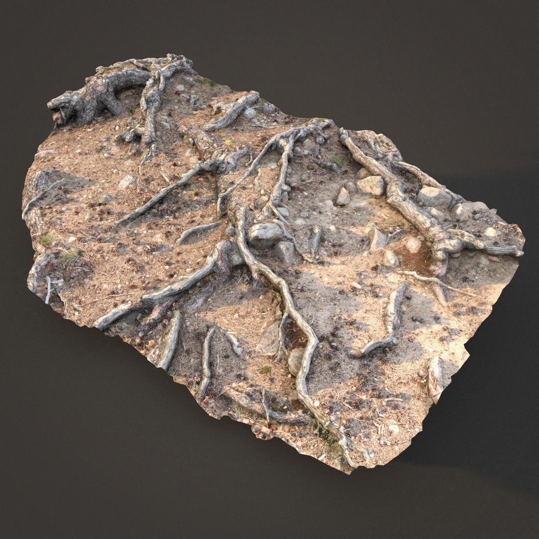 3D Nature Ground Scan 001 - TurboSquid 1396729