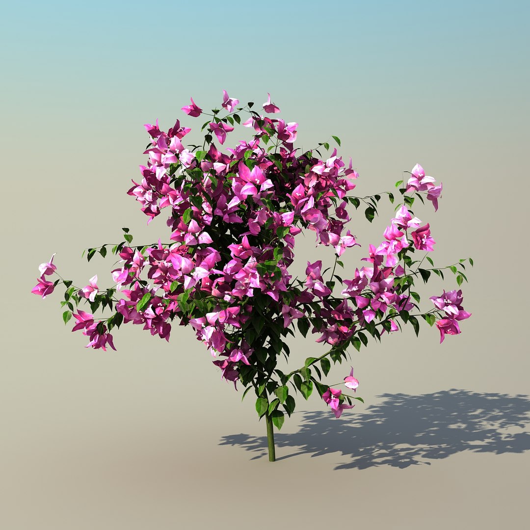 3d Max Plant Flower