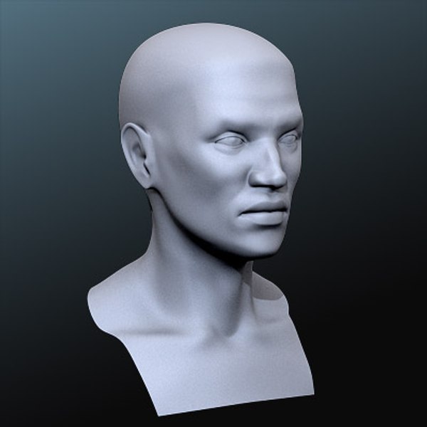 male head 3d model