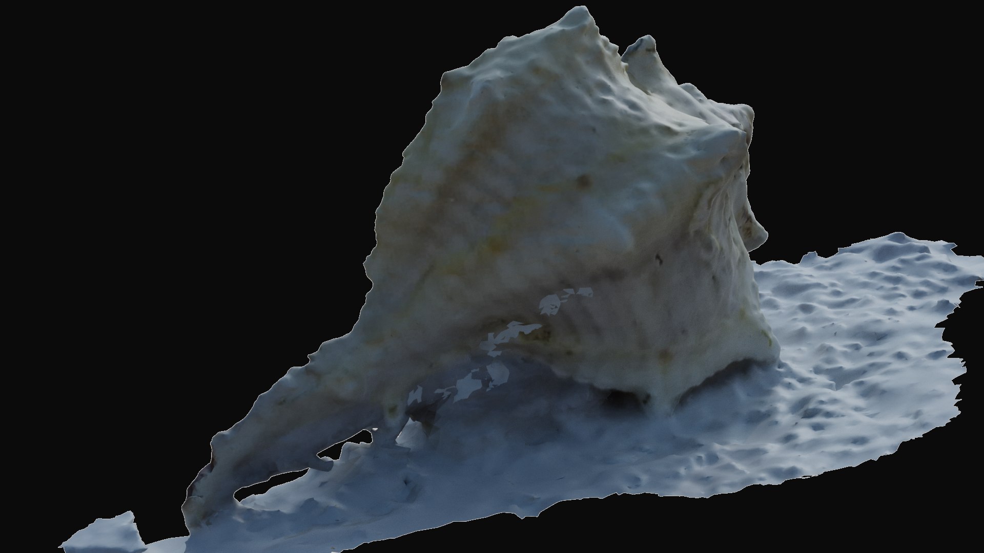 3D Model Shell Scan - TurboSquid 1455385