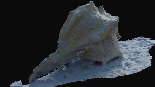 3D model shell scan - TurboSquid 1455385