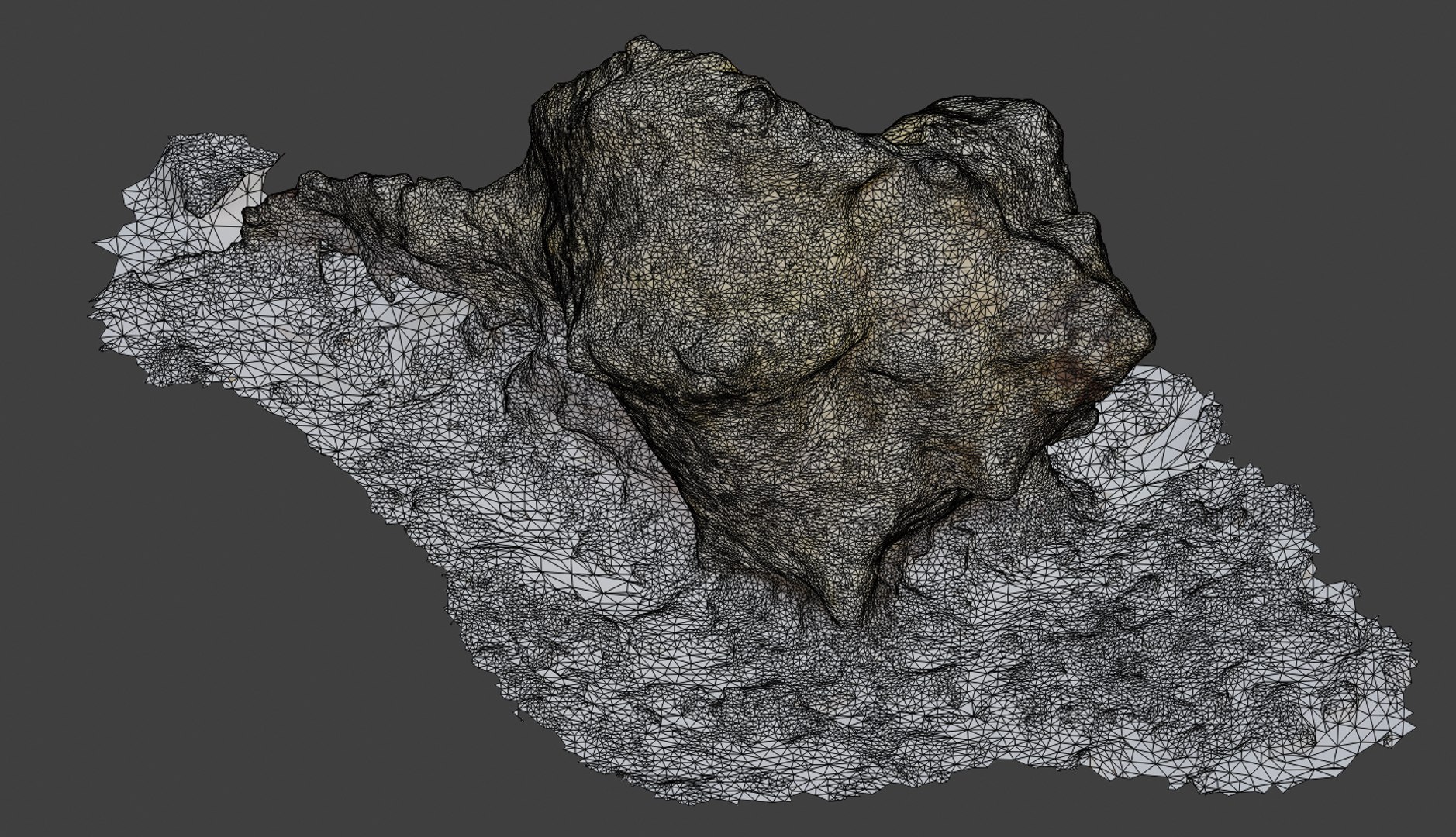 3D Model Shell Scan - TurboSquid 1455385