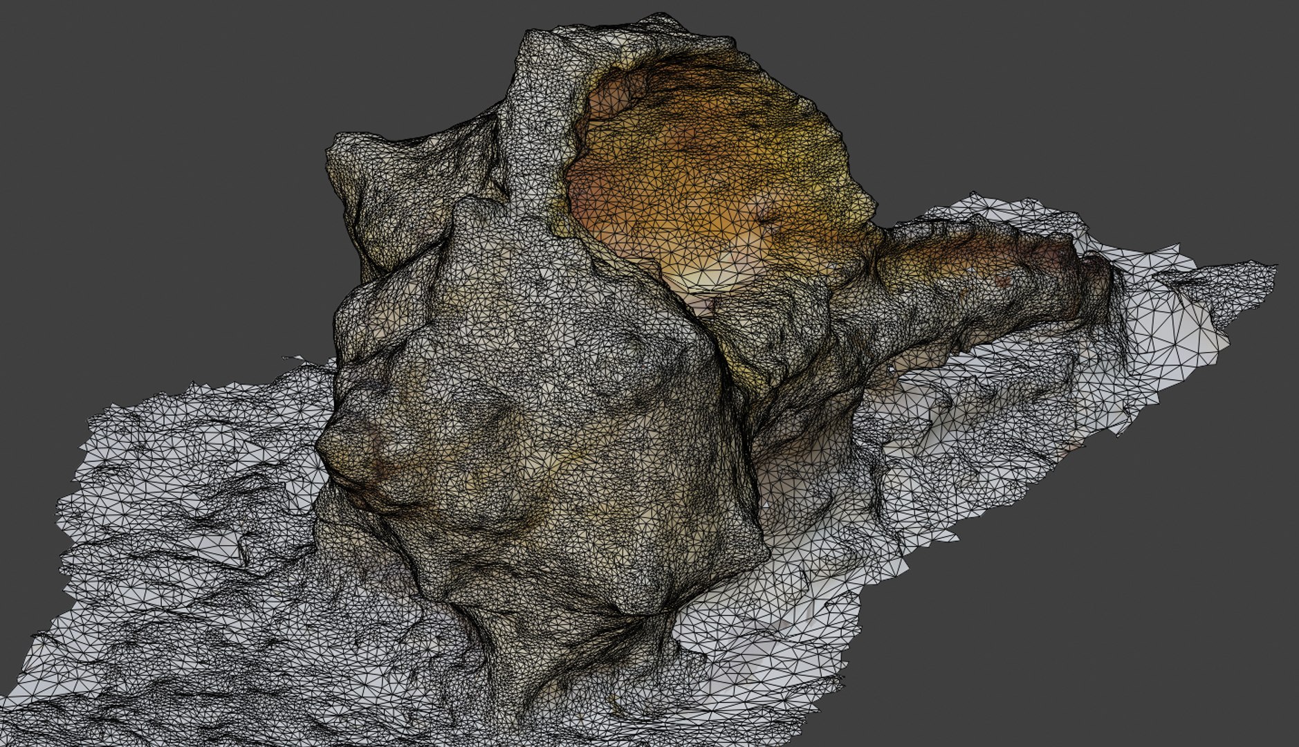 3D Model Shell Scan - TurboSquid 1455385