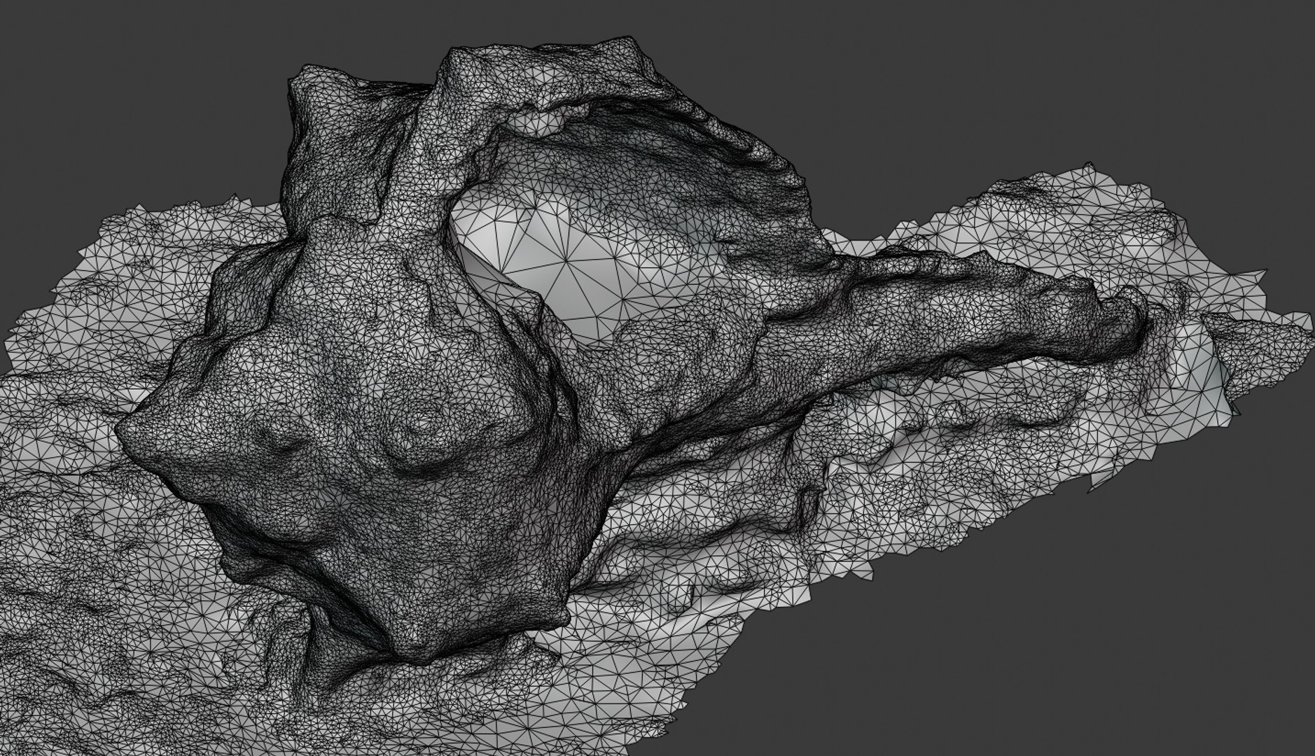3D Model Shell Scan - TurboSquid 1455385
