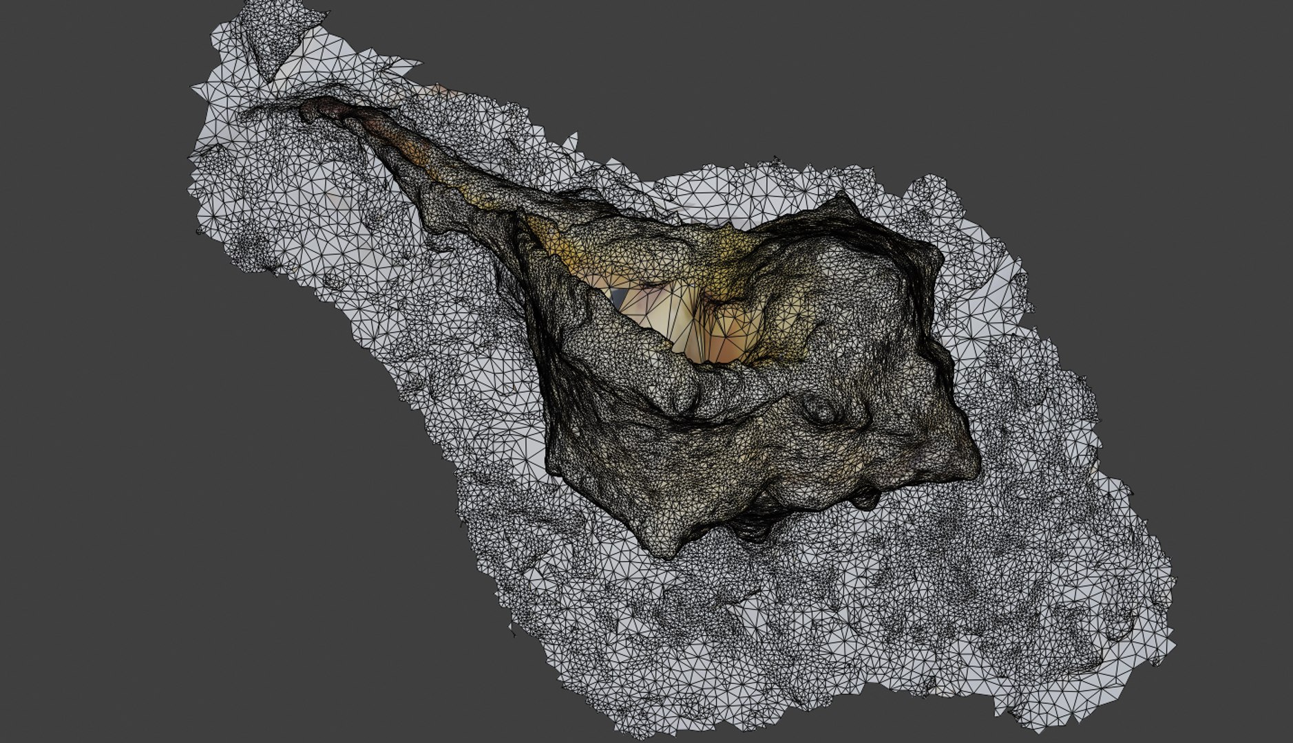 3D Model Shell Scan - TurboSquid 1455385