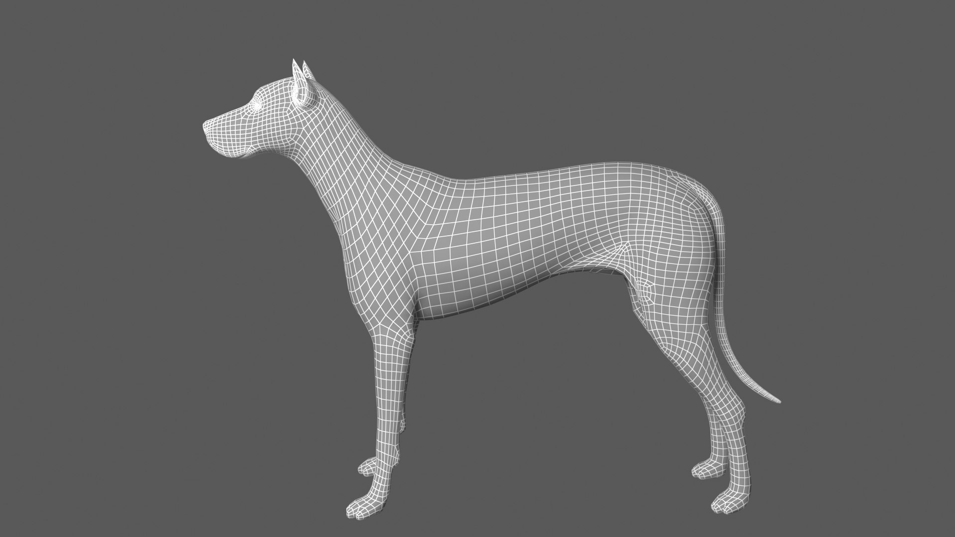 3D model Dog - TurboSquid 2060550