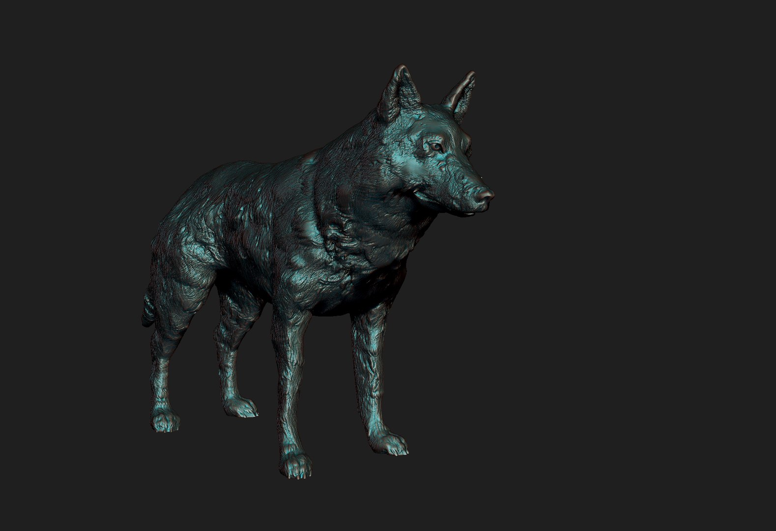 3D Wolf Model - TurboSquid 2139726