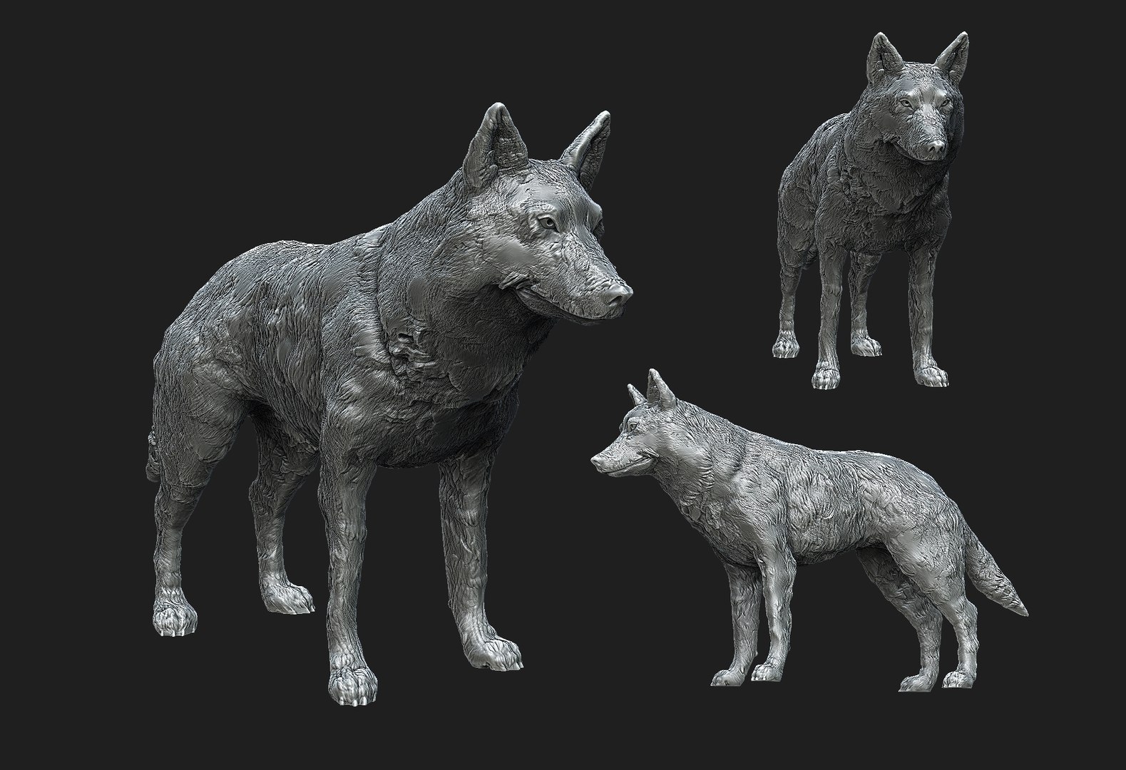 3D Wolf Model - TurboSquid 2139726