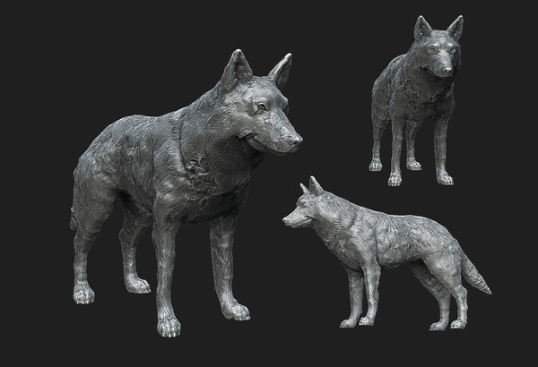 modelo 3d lobo - TurboSquid 2139726