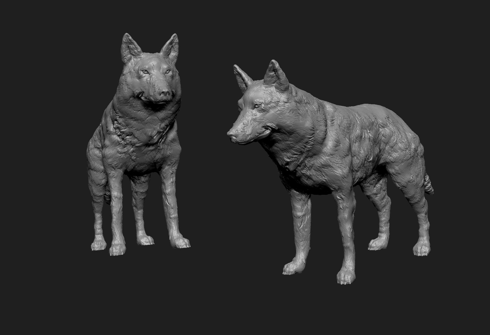 3D Wolf Model - TurboSquid 2139726