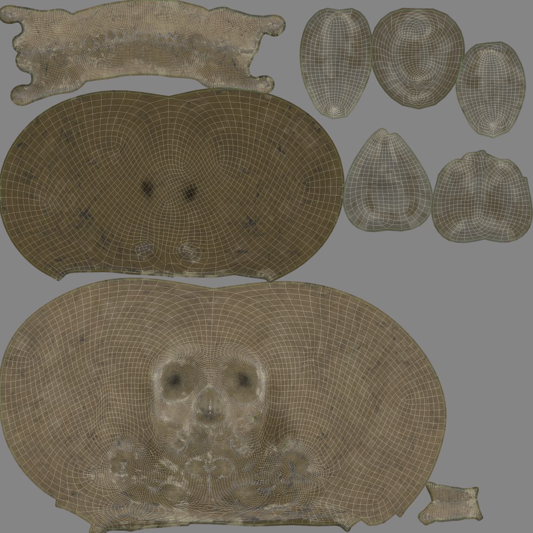 3D Human Skull V2 Model - TurboSquid 1662671