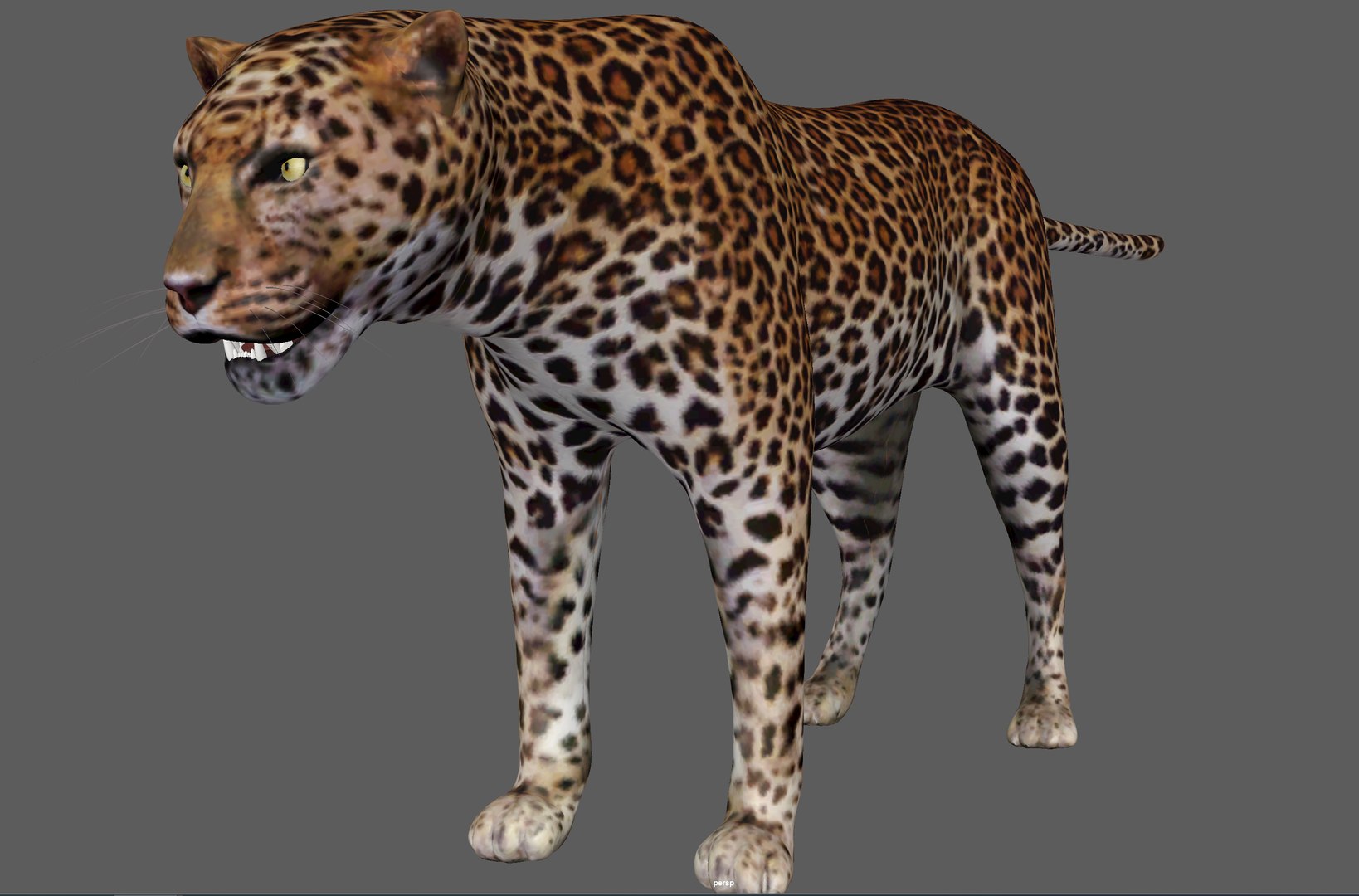 3D Leopard Model - TurboSquid 1832649
