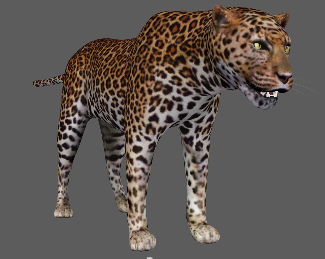3D Leopard Model - TurboSquid 1832649
