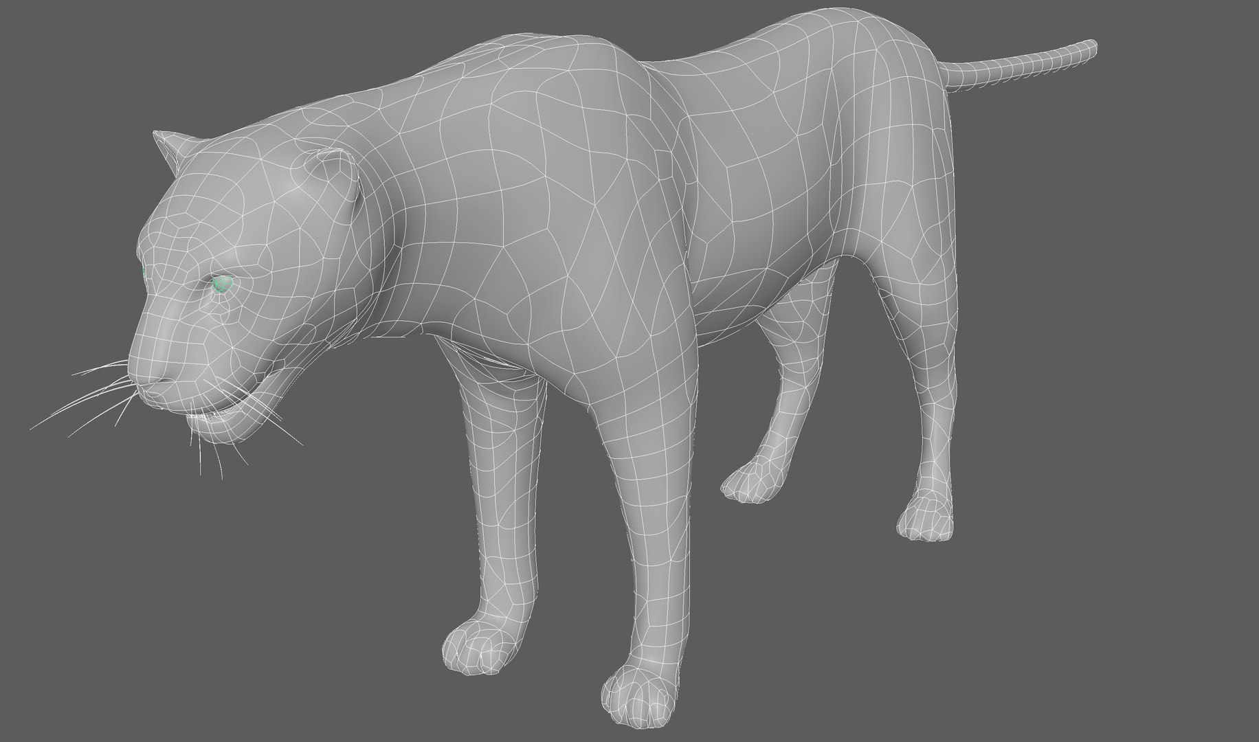 3D Leopard Model - TurboSquid 1832649