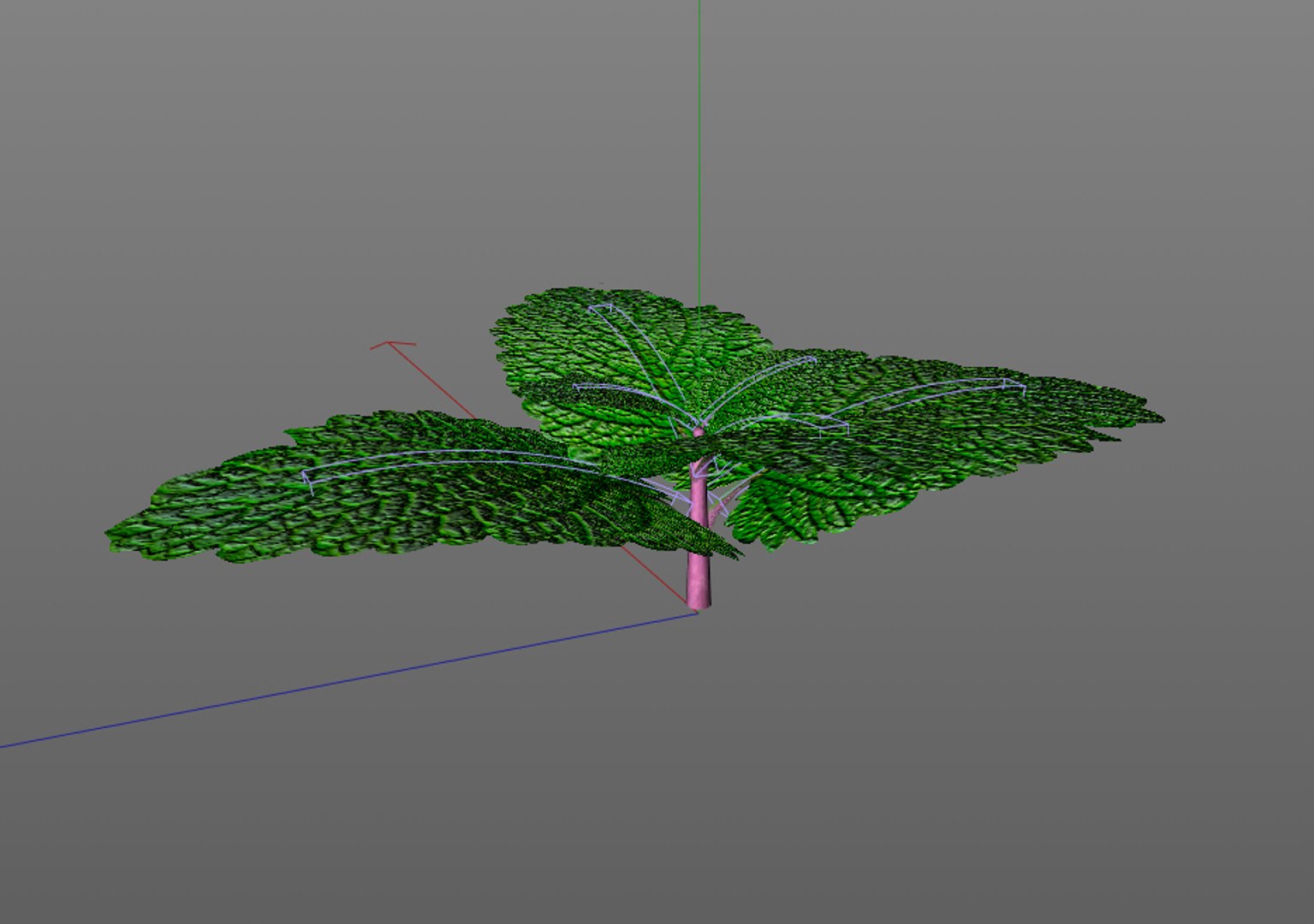 Mint 3D Model - TurboSquid 1544544