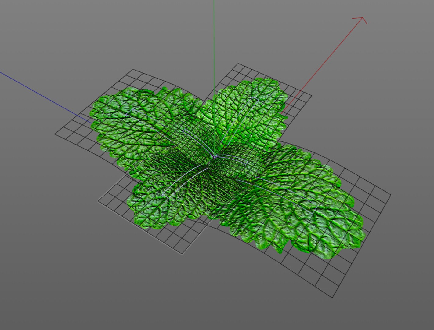 Mint 3D Model - TurboSquid 1544544