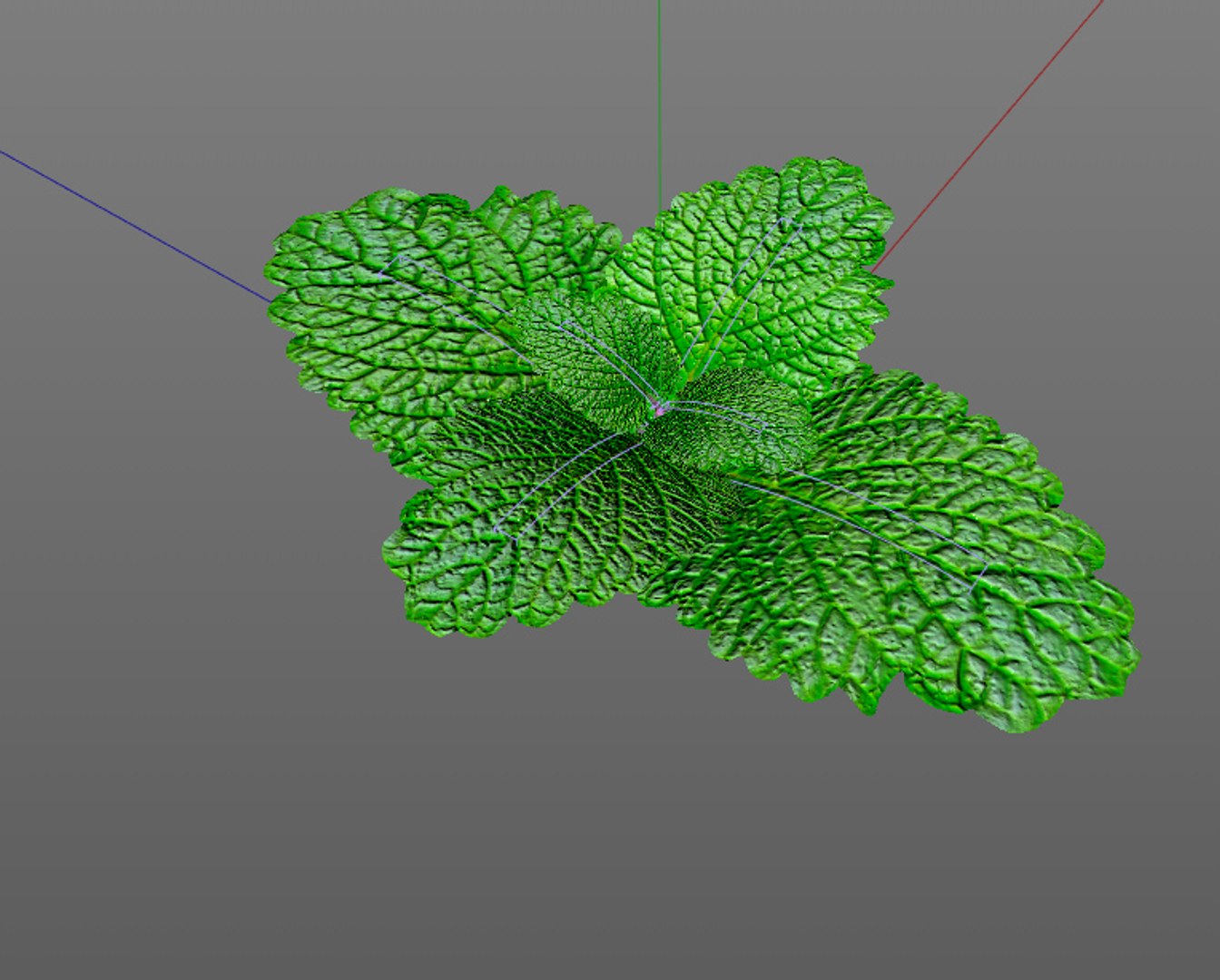 Mint 3D Model - TurboSquid 1544544