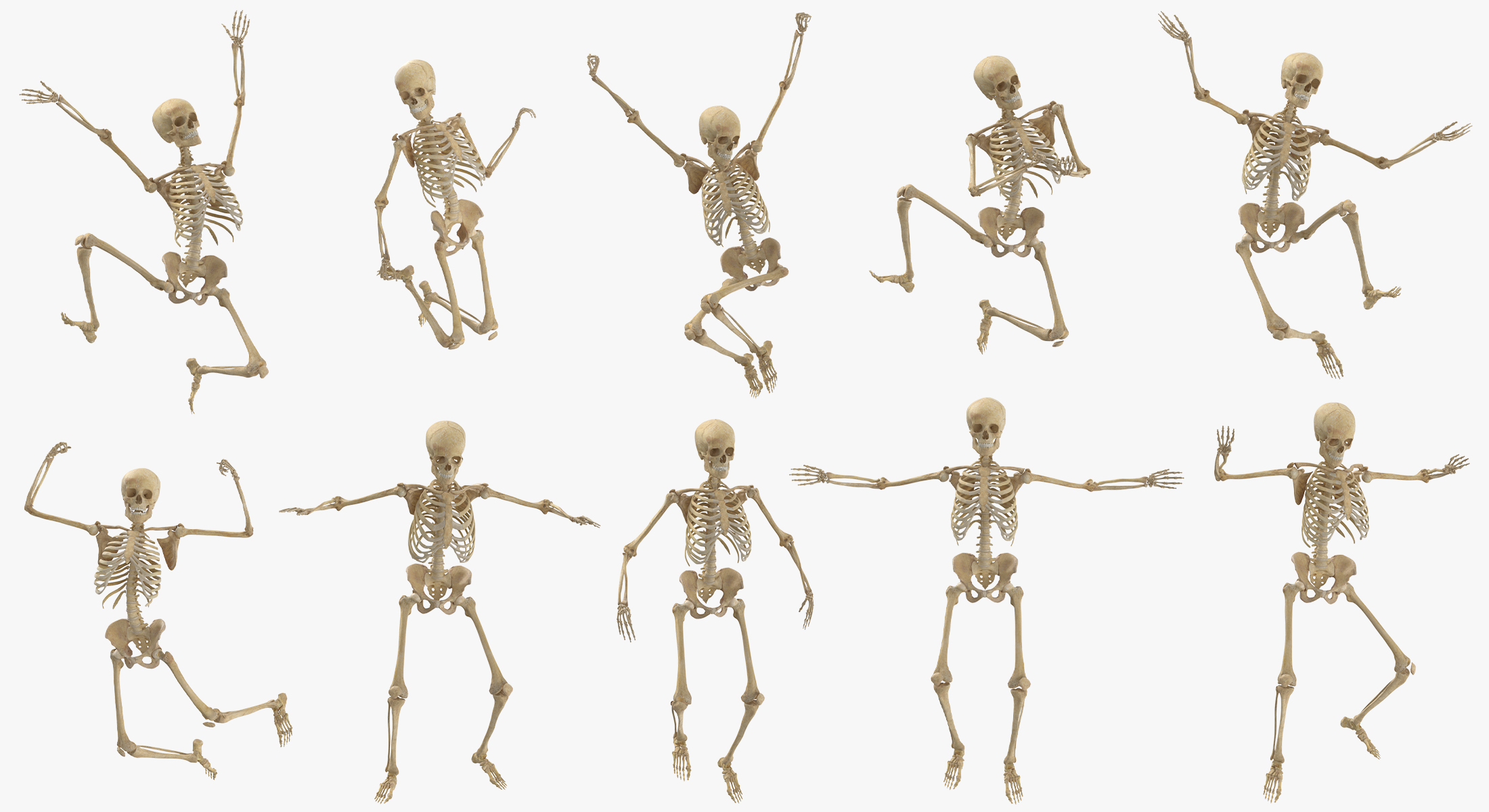 Human Female Skeleton Jumping Poses Collection 01 - 10 models 3D 모델 ...