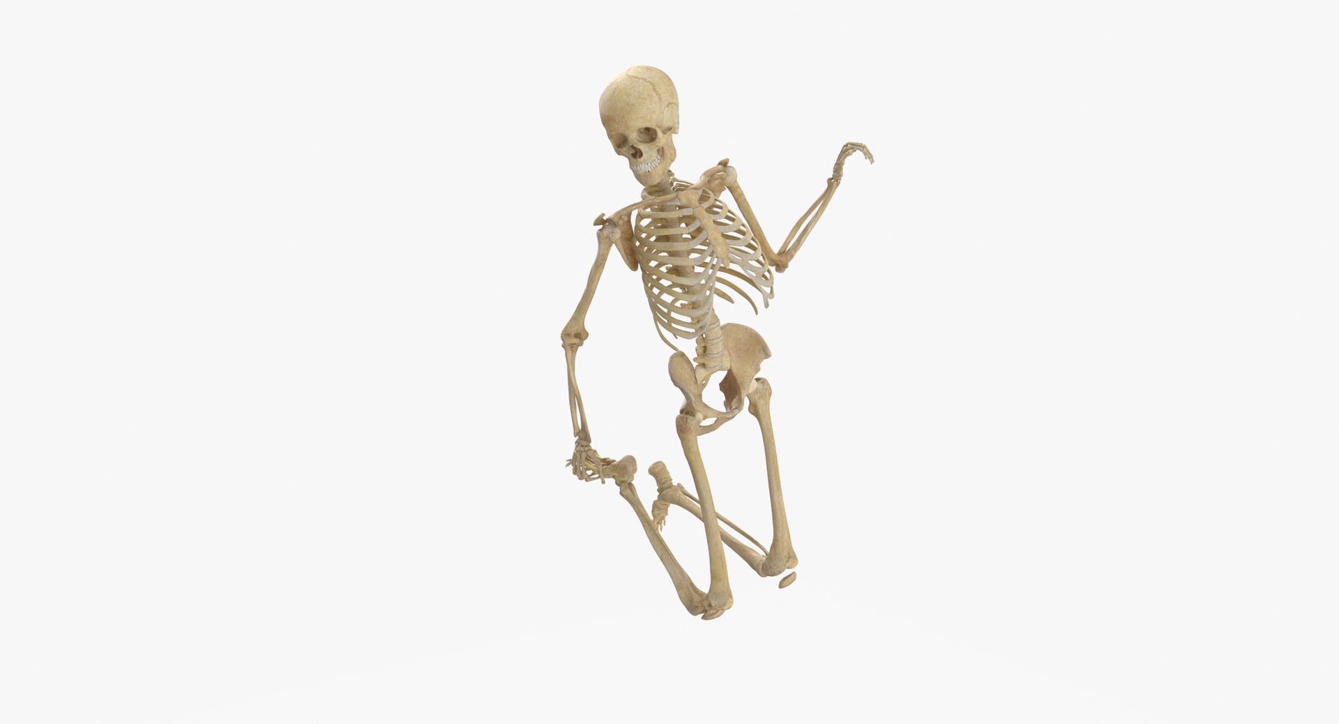 Human Female Skeleton Jumping Poses Collection 01 - 10 models3Dモデル ...