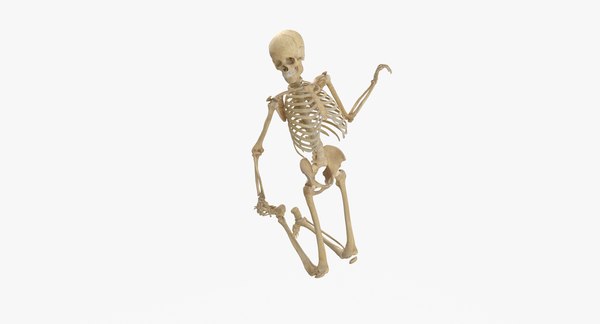 Human Female Skeleton Jumping Poses Collection 01 - 10 models3Dモデル ...